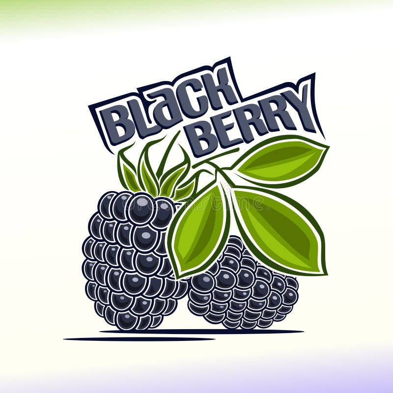 Blackberry Logo Vector Free Download
