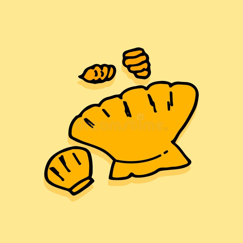 Vector Illustration of Thin Black Outline Shells Isolated on Yellow ...