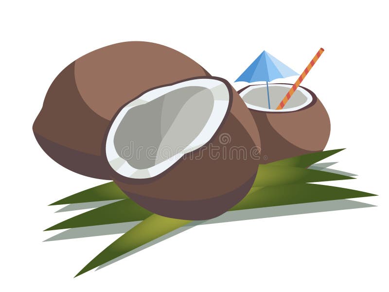 3 Coconuts Clipart