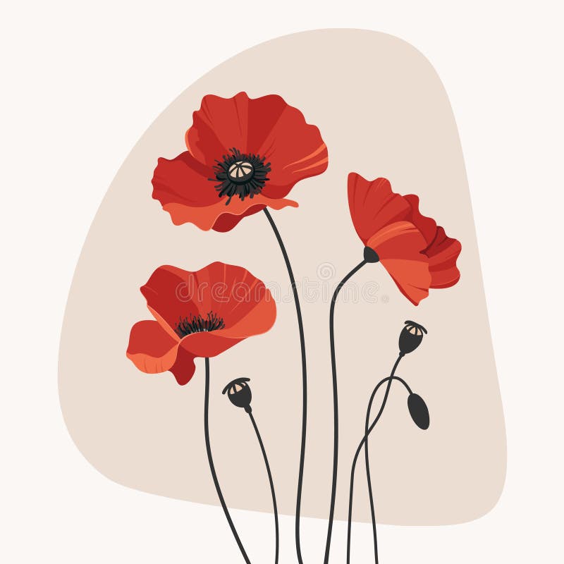 Vector Illustration of Three Red Poppies in Vase on Clean Beige ...