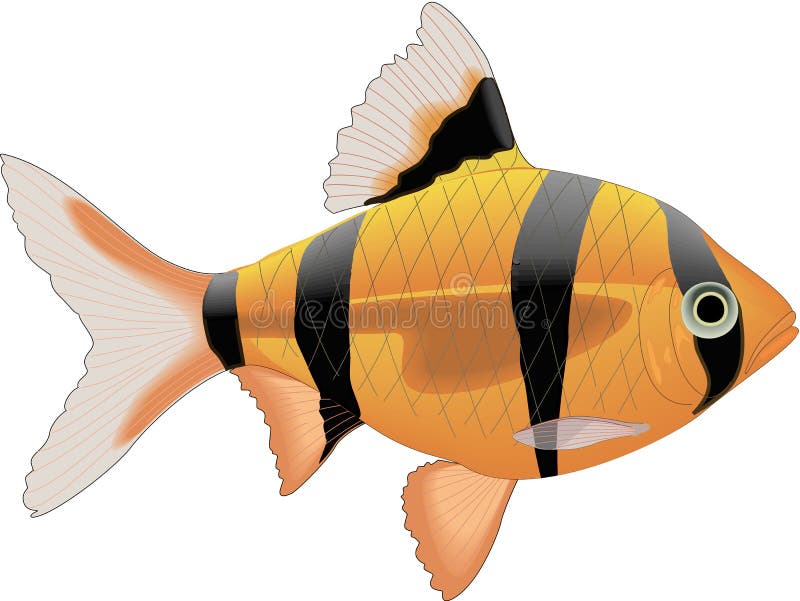Hausdach Clipart Fish