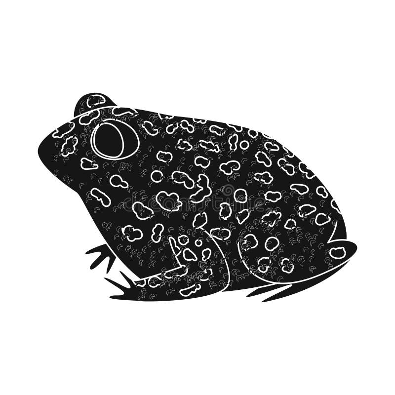 Vector Illustration of Toad and Tropical Icon. Collection of Toad and ...