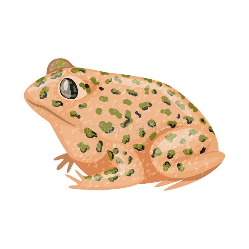 Vector Design of Toad and Tropical Symbol. Collection of Toad and ...