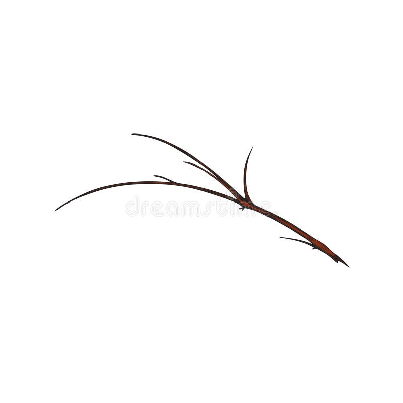 Vector Illustration of a Tree Branch in Graphic Style. Stock ...