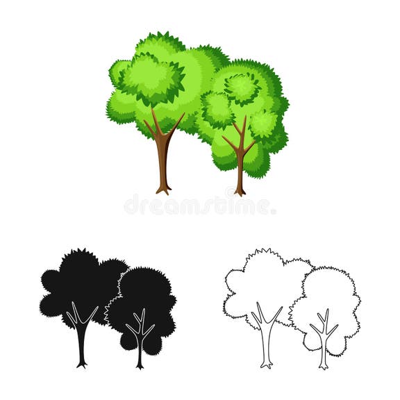 Vector Illustration of Tree and Deciduous Icon. Collection of Tree and ...