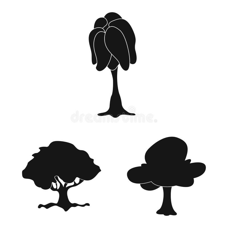 Vector Illustration Of Tree And Nature Icon Set Of Tree And Crown