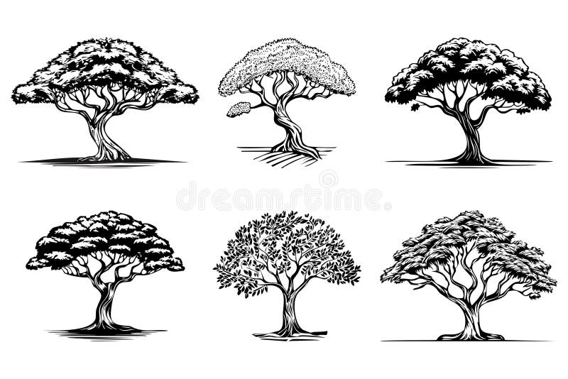 Trunk Canopy Stock Illustrations – 1,441 Trunk Canopy Stock ...