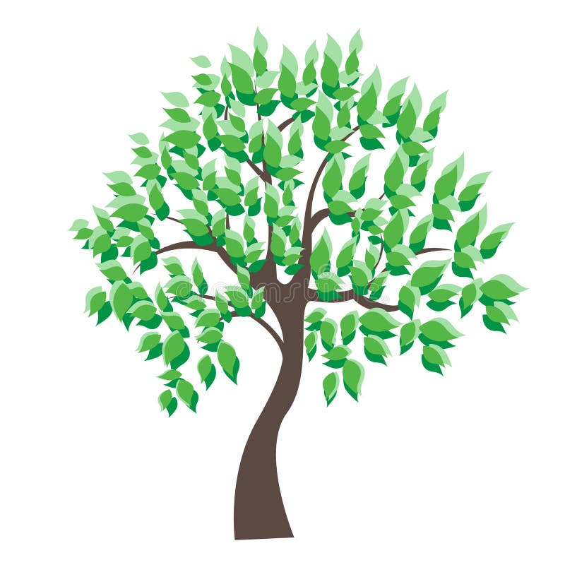 Vector Illustration of Tree on White Background - Stock Illustration ...