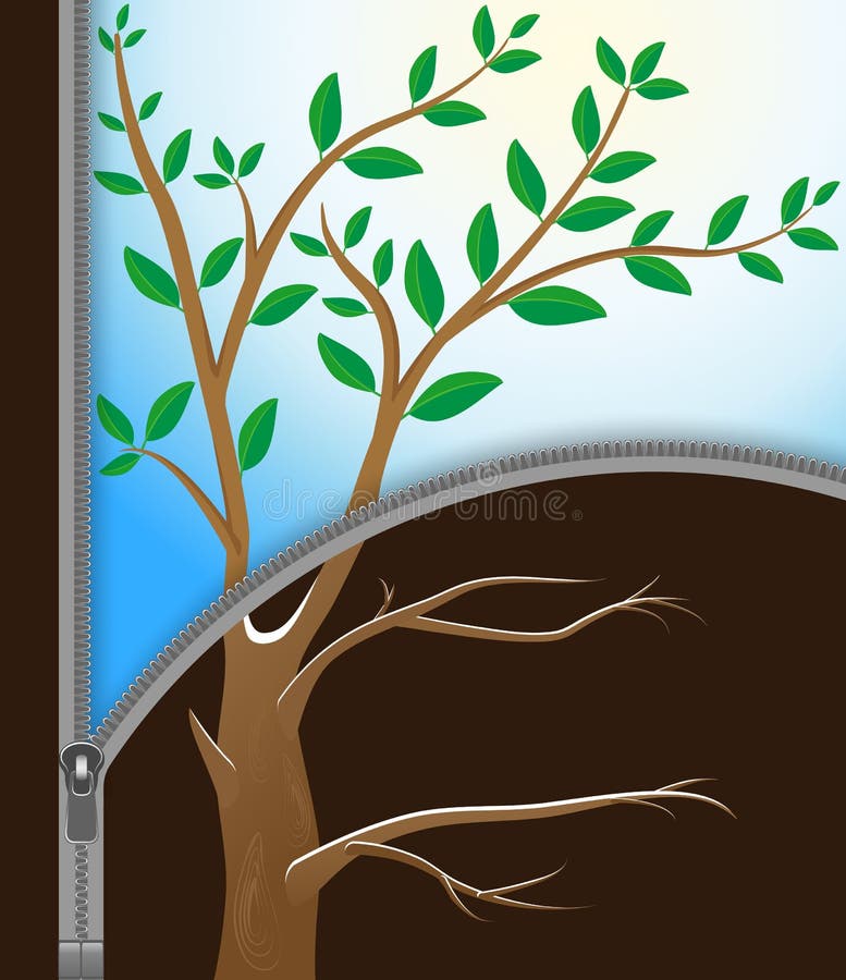 Tree with a Winter and Spring Stock Vector - Illustration of season ...