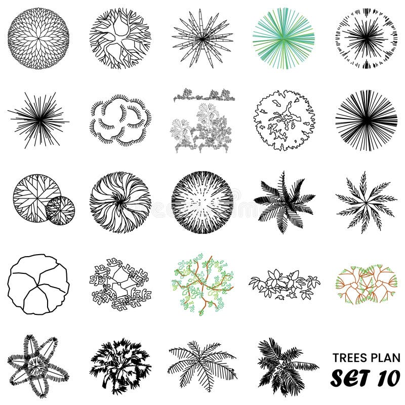 Illustration of Trees Plan Hand Drawn for Architectural and Landscape ...