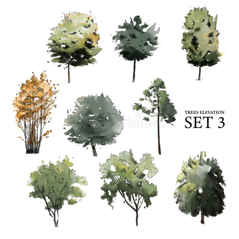 Illustration of Trees Side View Hand Drawn for Architectural and ...