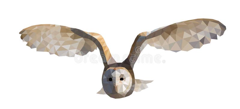 Vector Illustration Triangle Owl Stock Vector - Illustration of graphic ...