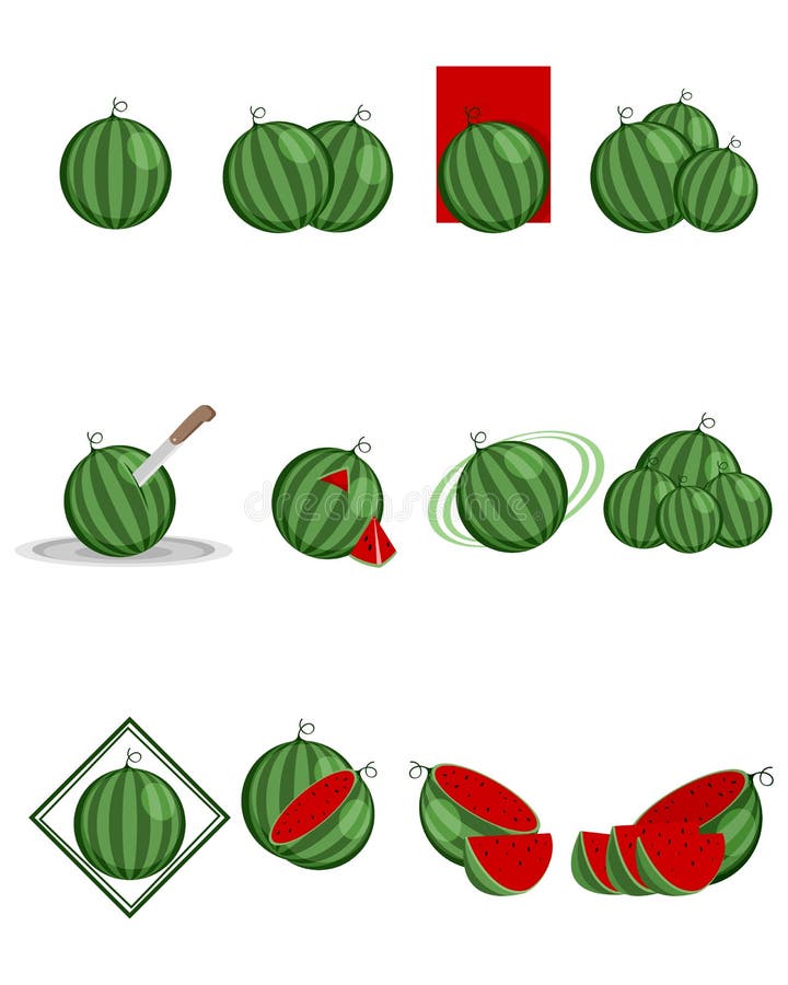Twelve Variants of Watermelon Stock Vector - Illustration of organic ...