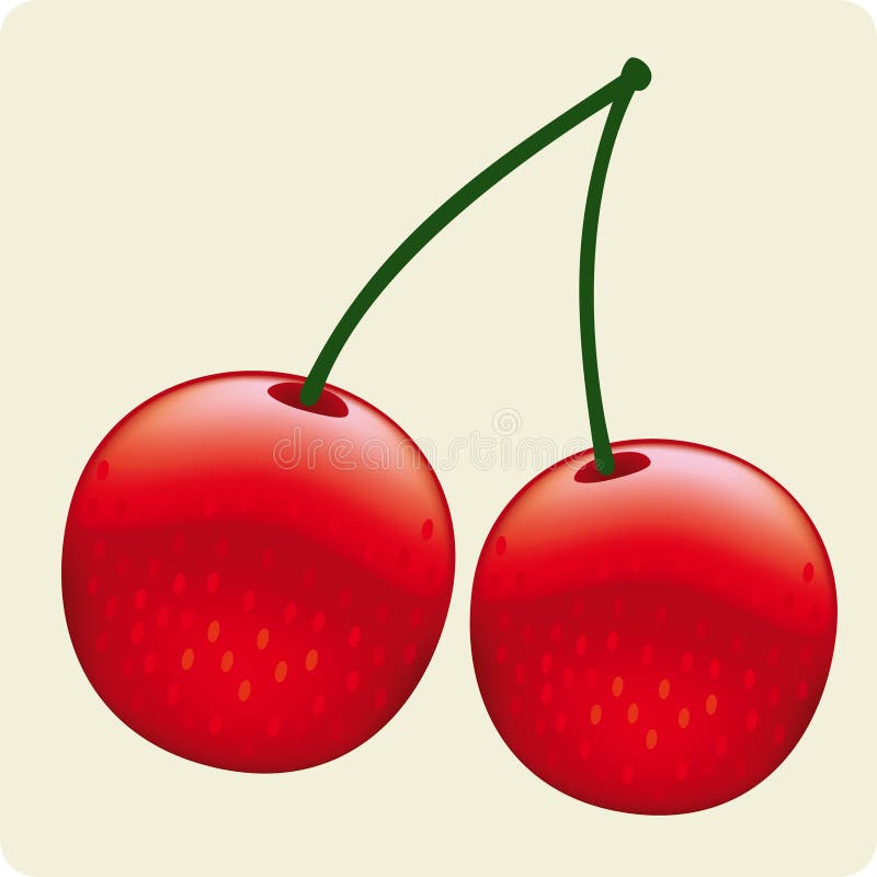 Vector Illustration of Two Joined Cherries Isolated Stock Vector ...