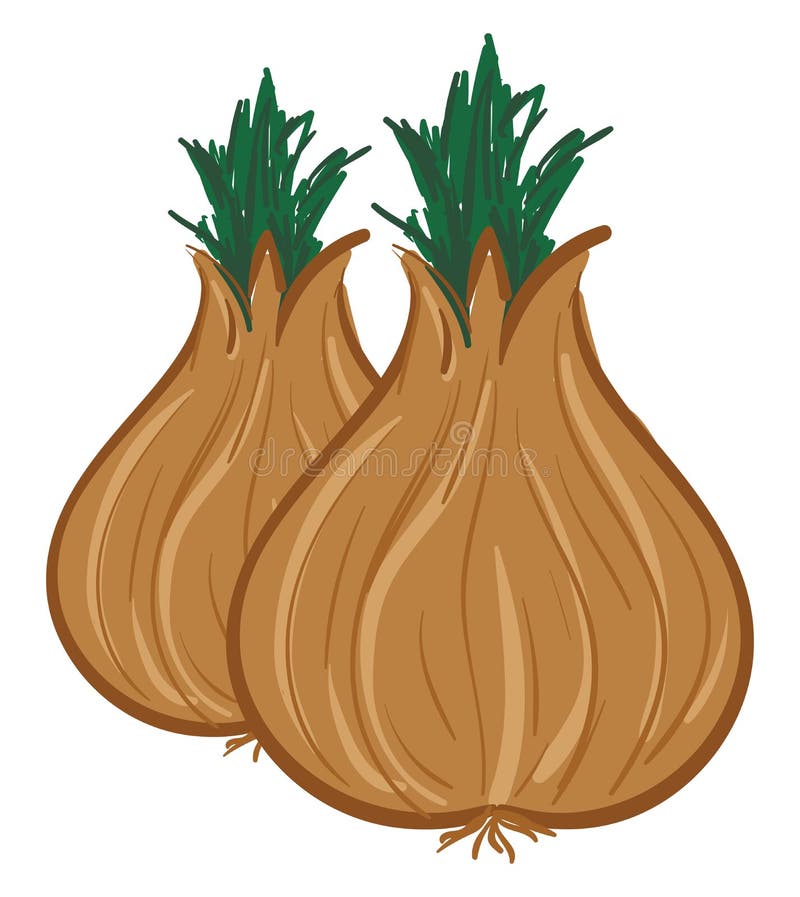 Two Onions Stock Illustrations – 99 Two Onions Stock Illustrations ...