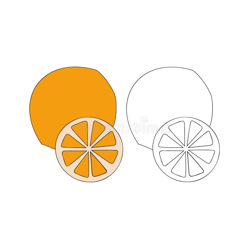 A Vector Illustration of Two Oranges with Slices Stock Vector ...