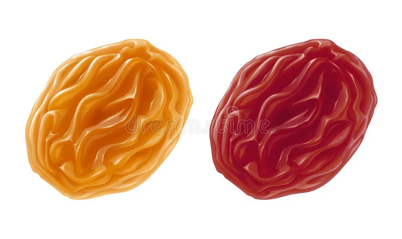 Raisin stock vector. Illustration of graphic, dessert - 199663326
