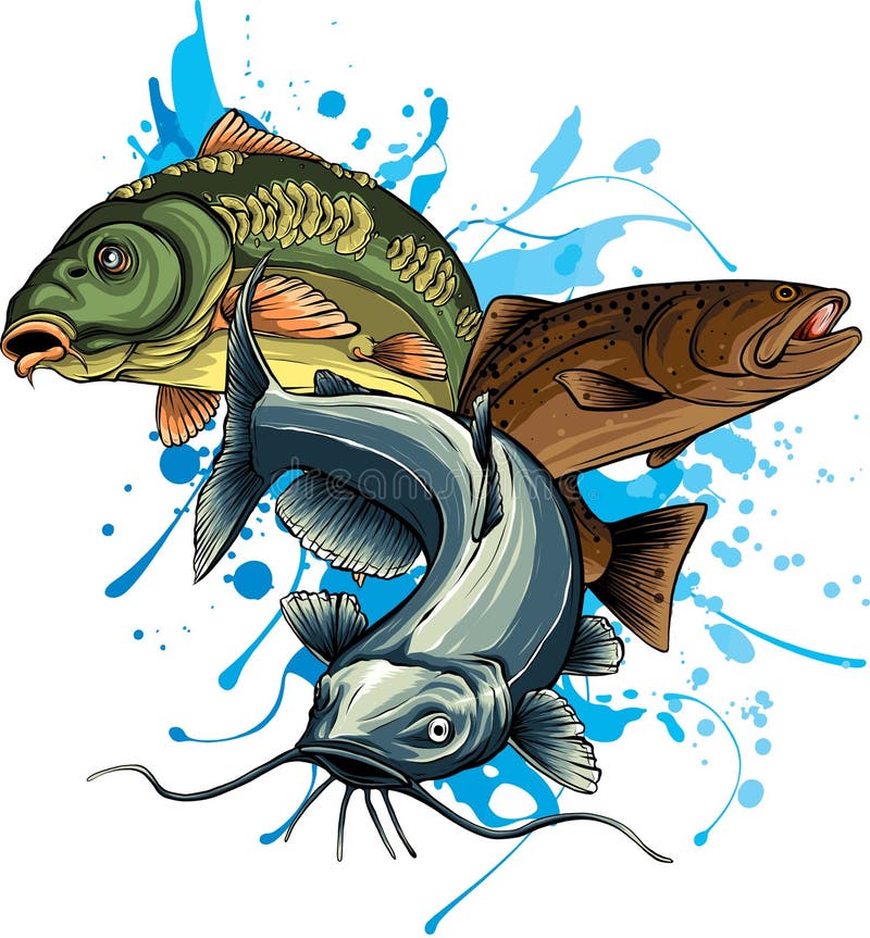 Vector Illustration of Various Freshwater Fishes Design Stock Vector ...