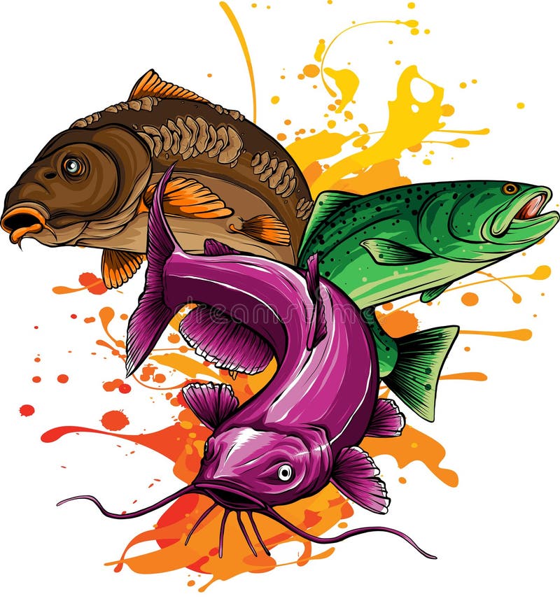 Vector Illustration of Various Freshwater Fishes Design Stock Vector ...