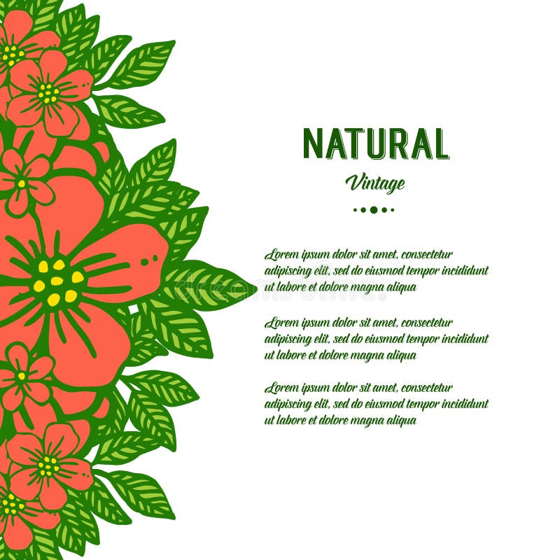 Vector Illustration Various Shape Orange Flower Frame Blooms with ...