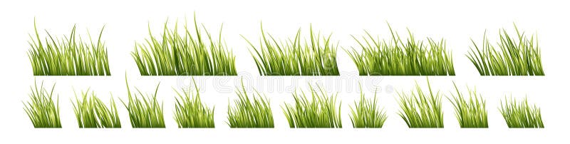 Vector Illustration of Vibrant Green Grass Elements on a White ...