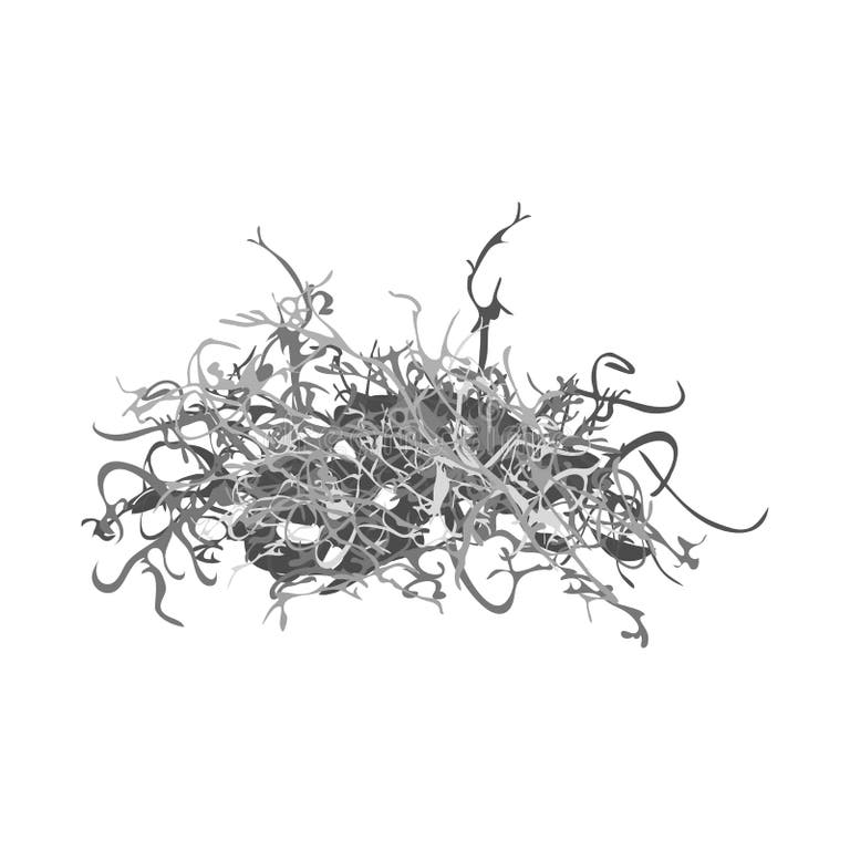 Sugarcane Bagasse Icon Stock Illustrations – 573 Sugarcane Bagasse Icon ...