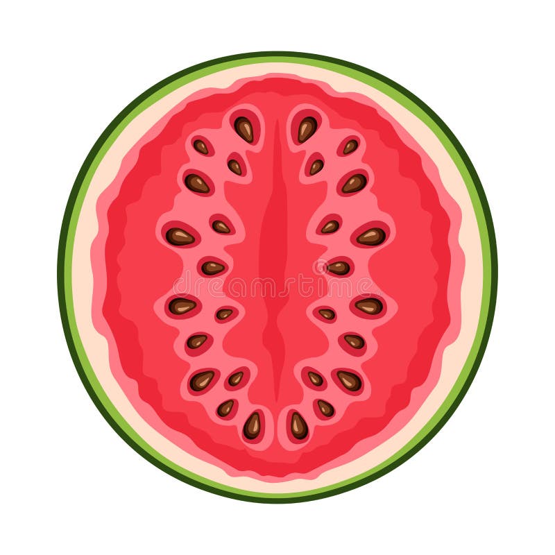 Watermelon Half Slice - Vector Illustration Isolated on White ...