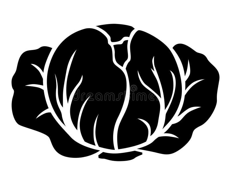 Cabbage silhouette icon stock vector. Illustration of healthy - 166385902