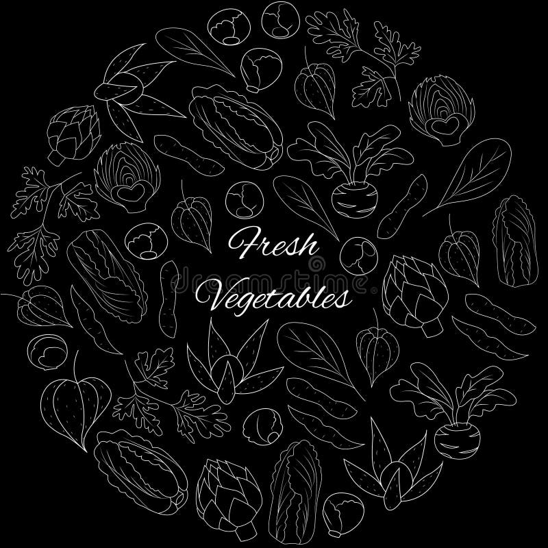Vector Illustration with White Outline Vegetables on Black Background ...