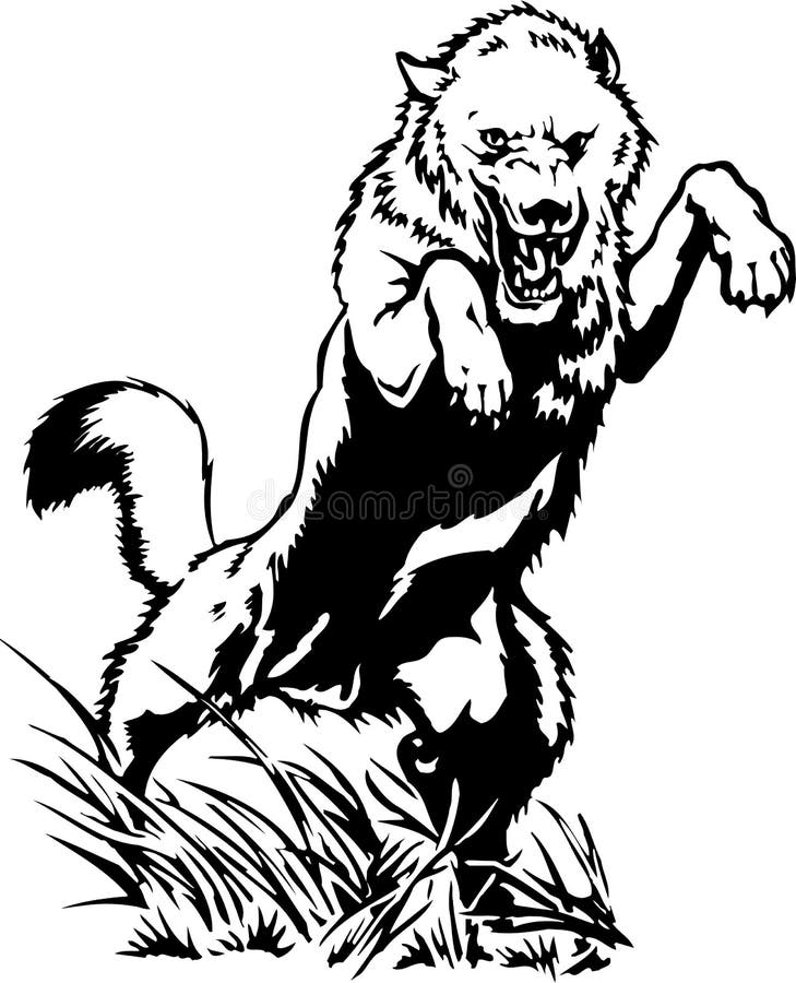 Wolf Attacking Illustration Stock Vector - Illustration of wild, attack ...