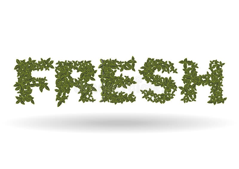 Vector Illustration with Word - Fresh. Word Consist from Mint Leaves ...