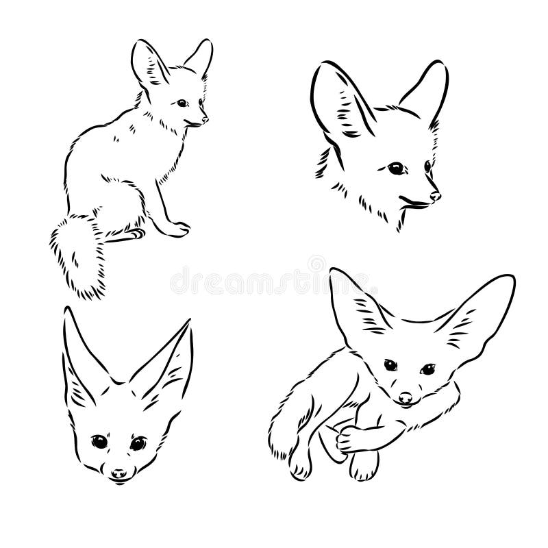 Vector Illustration of a Young Fennec Fox Walking. Fox Fenek Vector ...