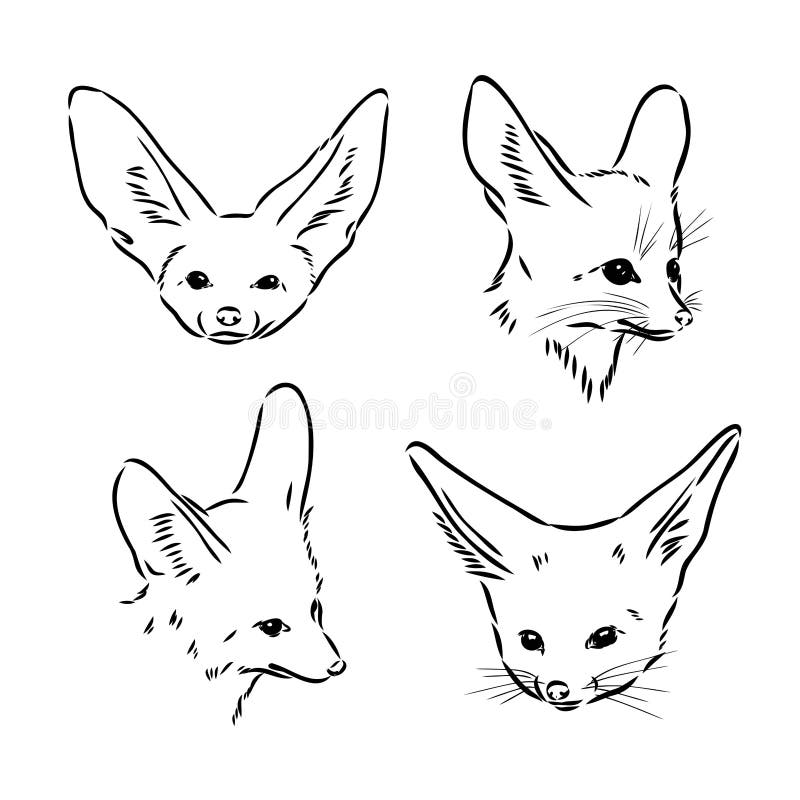 Vector Illustration of a Young Fennec Fox Walking. Fox Fenek Vector ...