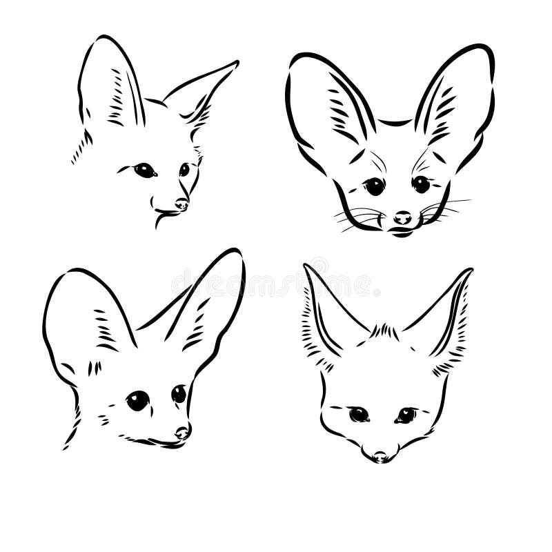 Vector Illustration of a Young Fennec Fox Walking. Fox Fenek Vector ...