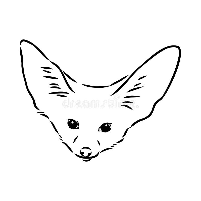 Vector Illustration of a Young Fennec Fox Walking. Fox Fenek Vector ...