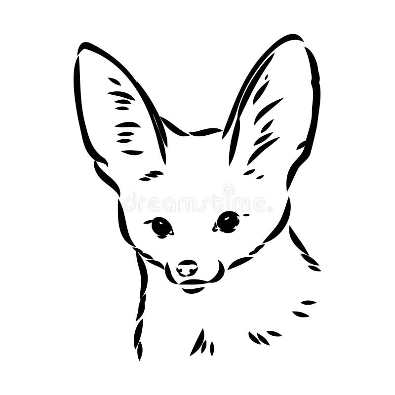 Vector Illustration of a Young Fennec Fox Walking. Fox Fenek Vector ...