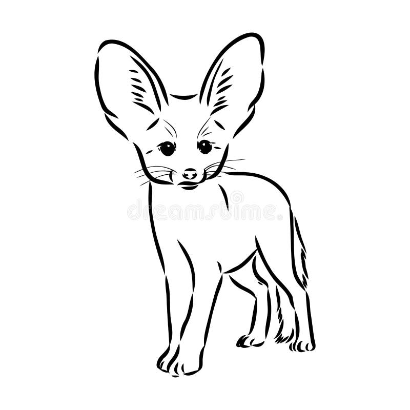 Vector Illustration of a Young Fennec Fox Walking. Fox Fenek Vector ...