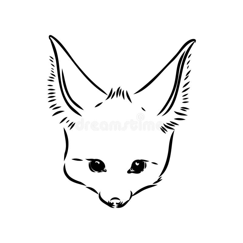 Vector Illustration of a Young Fennec Fox Walking. Fox Fenek Vector ...