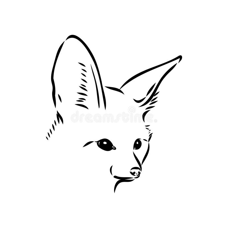 Vector Illustration of a Young Fennec Fox Walking. Fox Fenek Vector ...