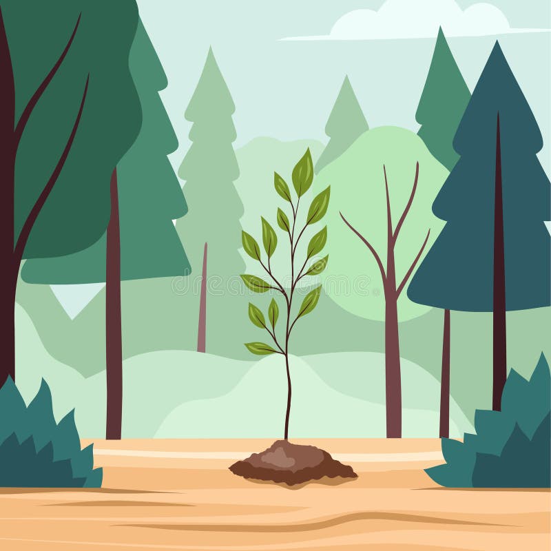 Vector Illustration Young Tree in Forest in Flat Style. Planting Trees ...