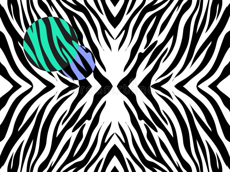 Vector Illustration of Zebra Print on White Background with Colored ...