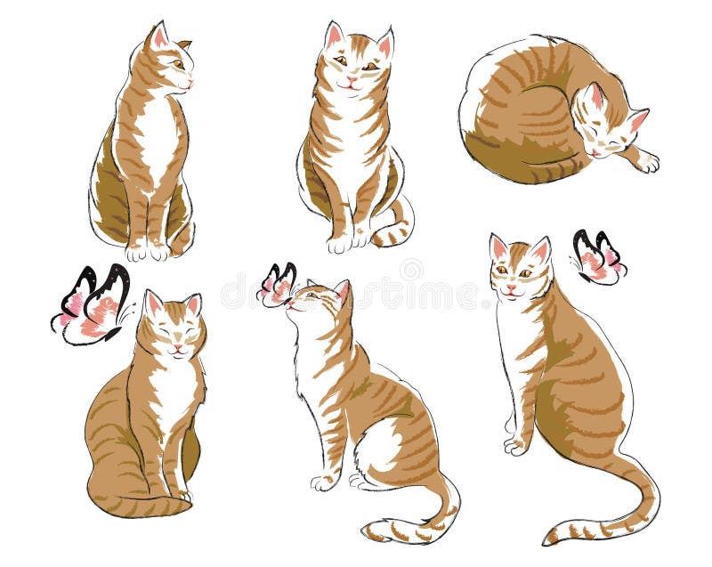 Cat bundle stock vector. Illustration of flat, colorful - 223912763