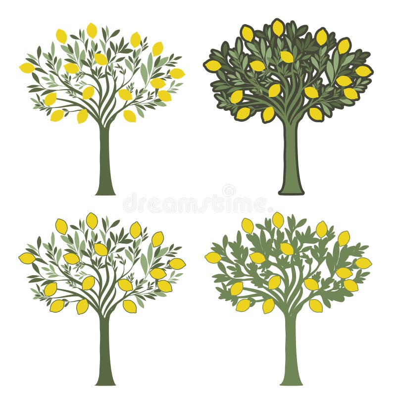 Lemon Trees Stock Illustrations – 2,431 Lemon Trees Stock Illustrations ...
