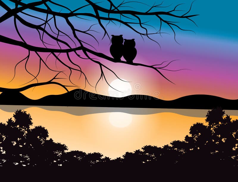 Vector Illustrations ,Owl with a Beautiful Sunset Stock Vector ...