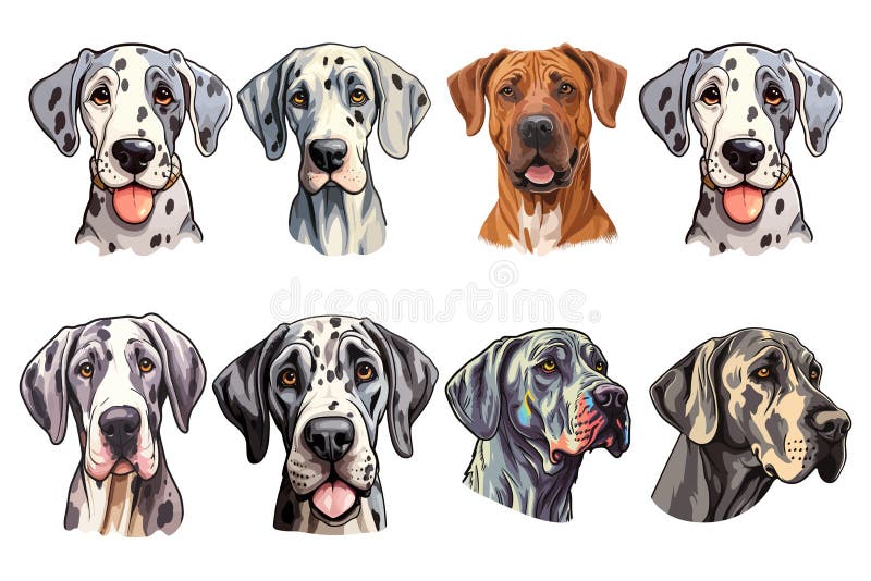 Great Dane Face Animal Vector Set Stock Vector - Illustration of puppy ...