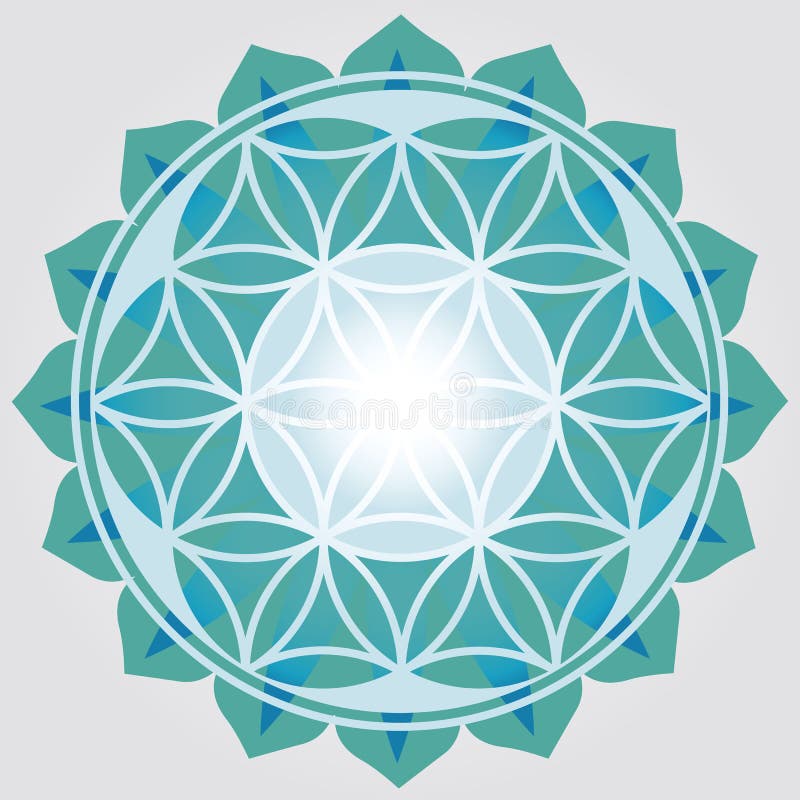 Flor azul da vida ilustração do vetor. Ilustração de flores - 27723054