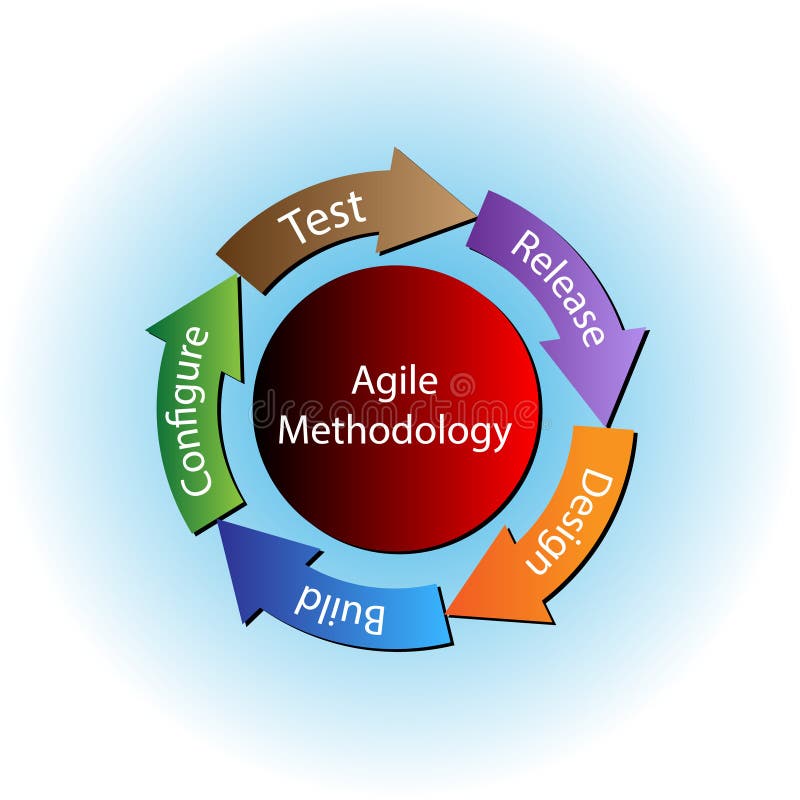 Vector a Ilustração Da Metodologia E Do Ciclo De Vida ágeis Da ...