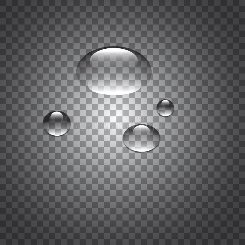 Vector Image of the Water Drops on the Transparent Checkered Background ...