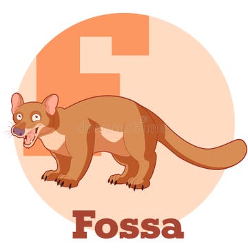 ABC Cartoon Fossa stock vector. Illustration of baby - 90015558