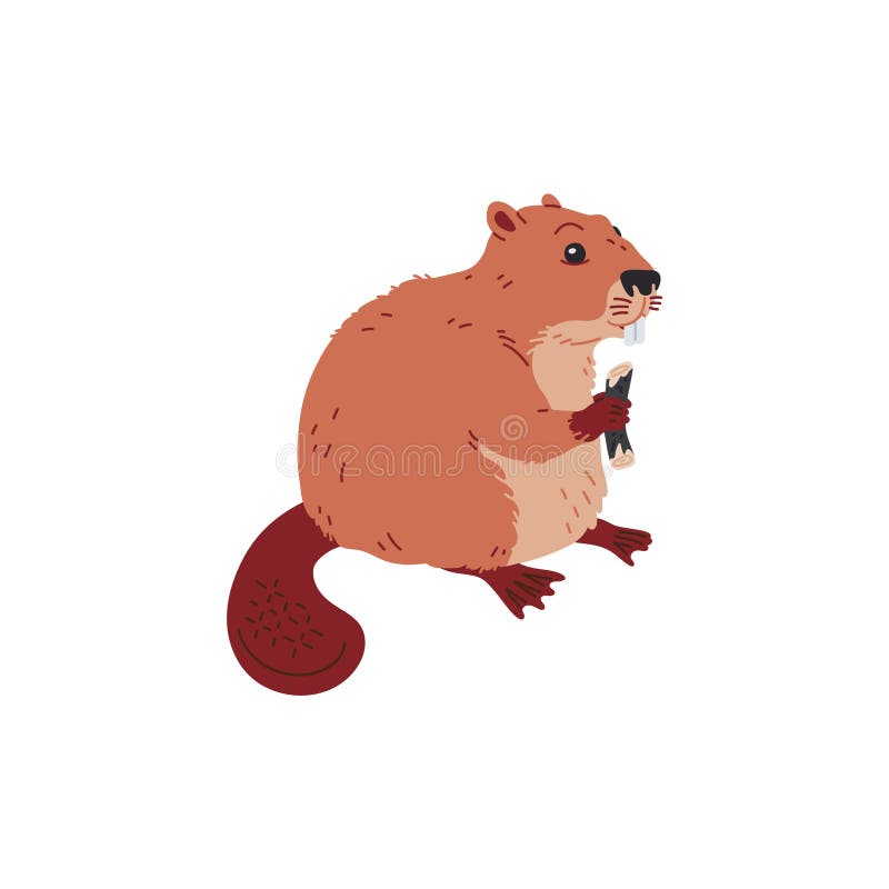 Vector Image Beaver is Holding a Log in a Flat Style on a White ...